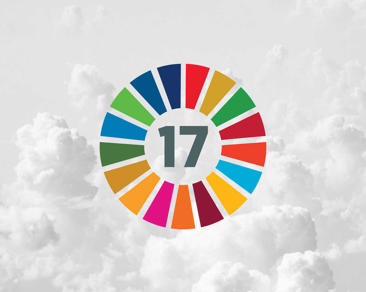 Objetivos de Desarrollo Sostenible prioritarios de nuestra empresa ...